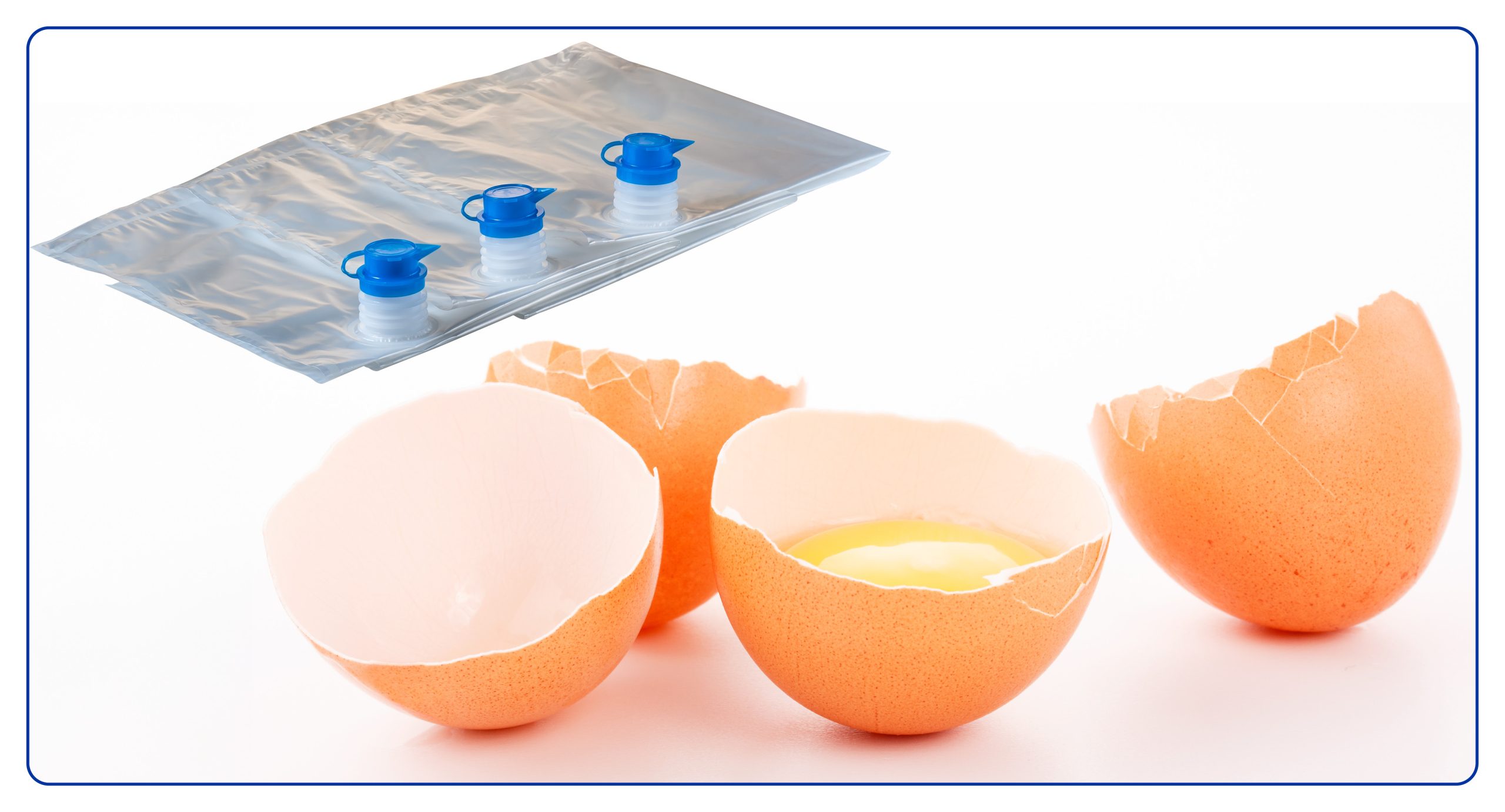 From Farm to Fork: The Vital Role of Packaging in Liquid Egg Production ...